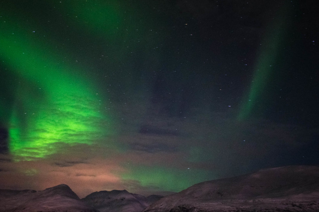 Searching for Whales and the Northern Lights with Arctic Expedition ...