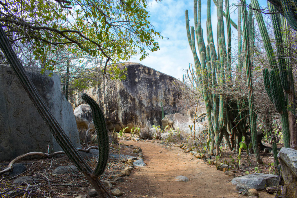 Hiking in Arikok National Park, Aruba - Let's get lost
